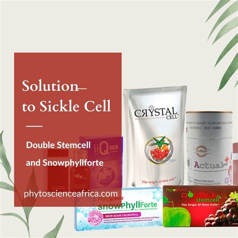 Sickle Cell Disease Causes Symptoms And Treatment Phytoscience Africa