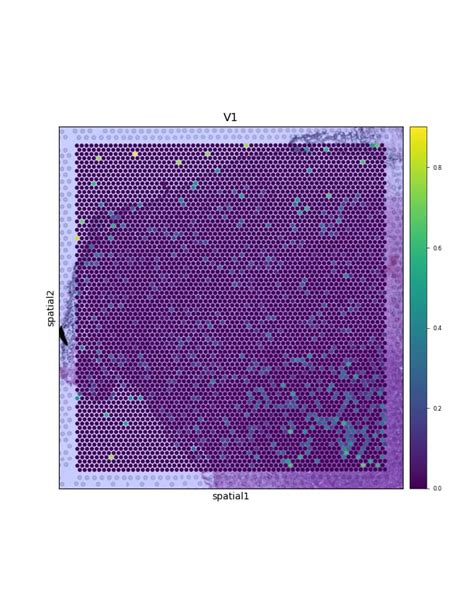 Spatial Resolution Artifacts Outside Of Detected Tissue Spatialdata