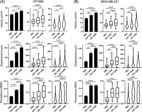 Cell Migration Patterns In Tissue Matrix Gel Compared To Two Types Of Download Scientific