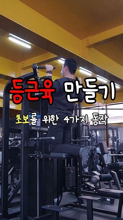 등근육 만들기 초보를 위한 4가지 동작 헬스 등운동 Youtube 등근육 만들기 초보를 위한 4가지 동작 헬스 등운동 Youtube