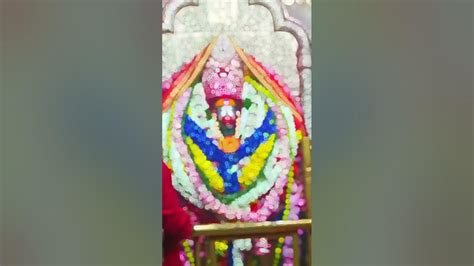 🌺🌺🙏 ফুলের সাজে তারা মায়ের সন্ধ্যা আরতি Jay Ma Tara Tarapith Mandir