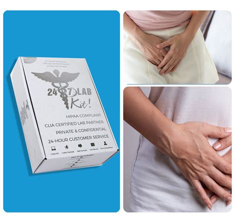 Herpes Simplex Type Detection Kits 06 02 2024