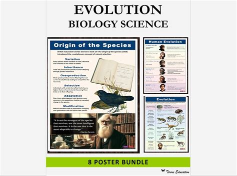 Evolution Posters Biology Classroom Decor Middle And High School