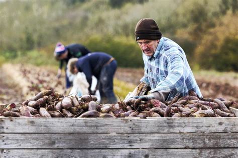 Irish Farmers Journal For The Latest Farming News In Ireland