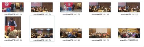 Asamblea General Extraordinaria De La Ffib 08022025