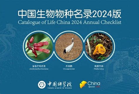 新增6423个物种，《中国生物物种名录2024版》发布多样性植物单元