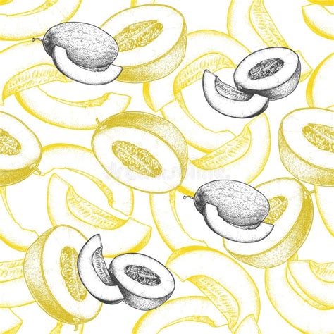 Seamless Pattern With Hand Drawn Melon Sketch Yellow Melon Slices