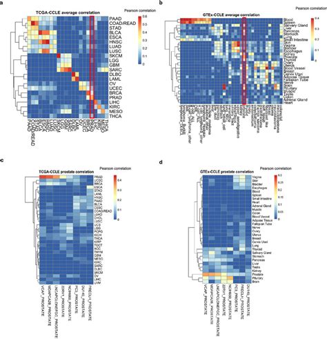 Comparison Of Ccle Gene Expression Data With Primary Tumour Tcga And