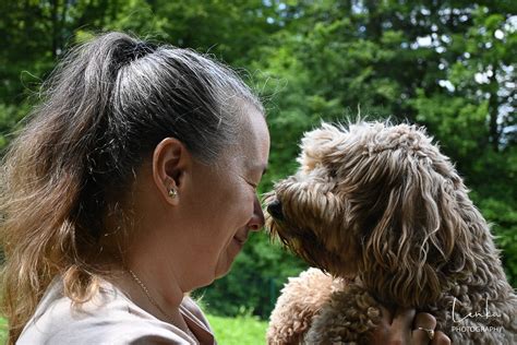 Galerija Cockapoo Slovenija