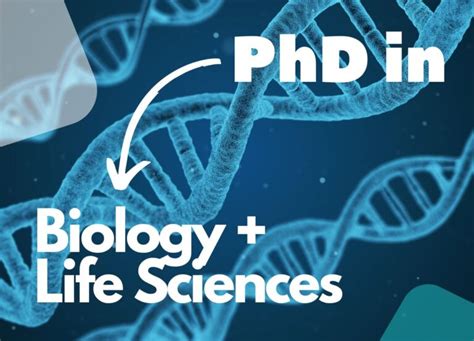 Phd Tips Archives Thephdhub