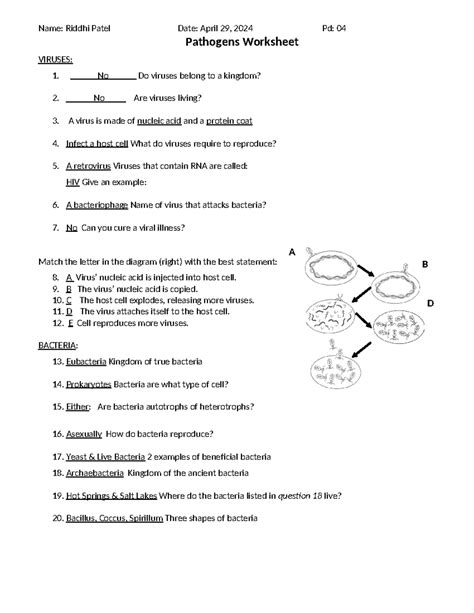 Riddhi Patel Pathogens Worksheet Name Riddhi Patel Date April 29