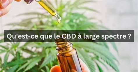 Quest ce que le CBD à large spectre