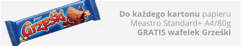🎯 Papier Do Drukarki Maestro Standard Plus A4 Gramatura 80g Klasa B