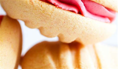 Raspberry Custard Creams Delicious Monster