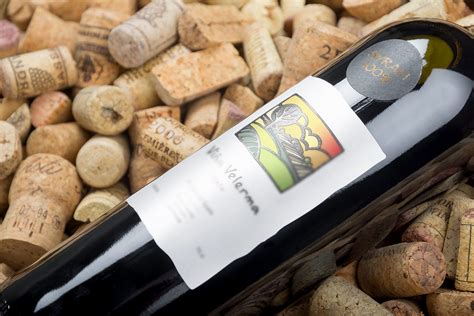 Realistic Wine Free Mockup Set Free Mockup