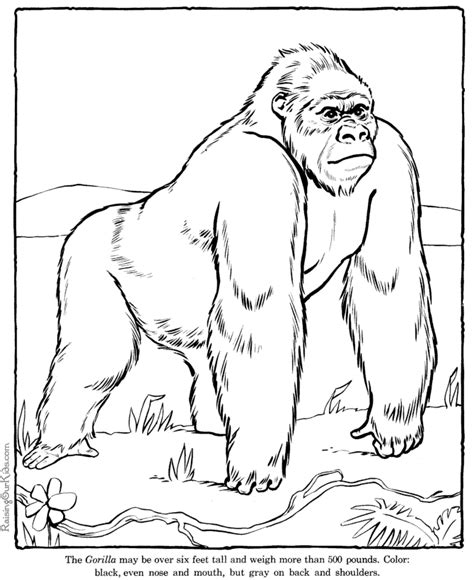 Good Night Gorilla Coloring Pages