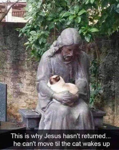 Why Jesus Hasnt Returned The Cats Reign Gagbase Ai Powered Meme