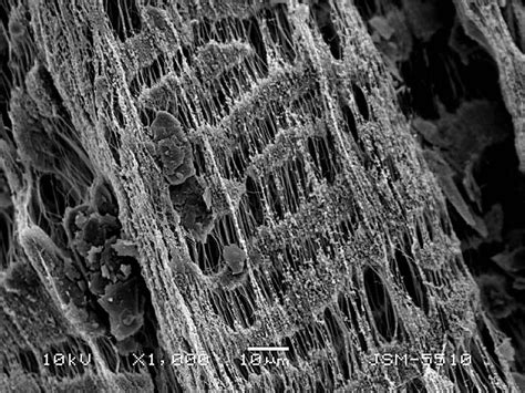 Expanded Ptfe Tape Avko Czech