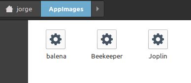 Programs In Appimage Format Do Not Show Program Icons Applications It S FOSS Community