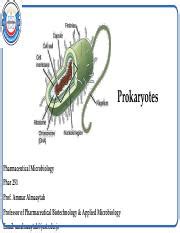 Understanding Bacteria Characteristics And Identification Course Hero