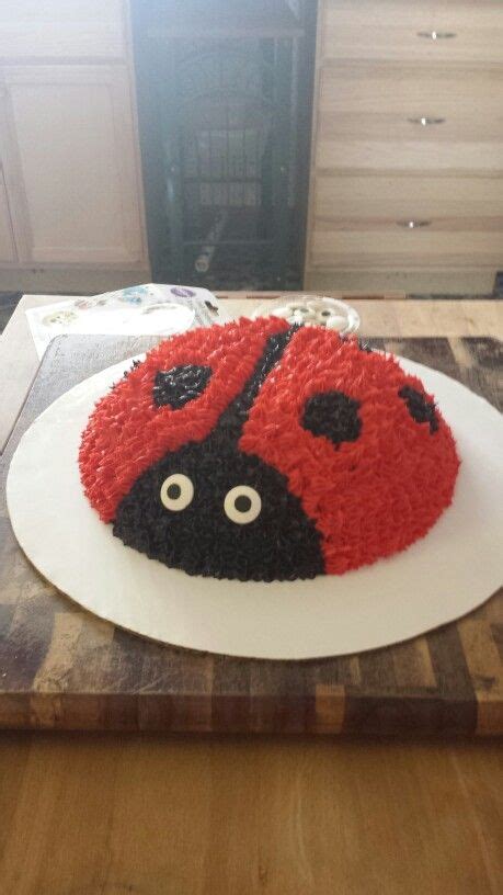Ladybug Smash Cake Birthday Cake Girls Ladybug Smash Cakes Ladybug