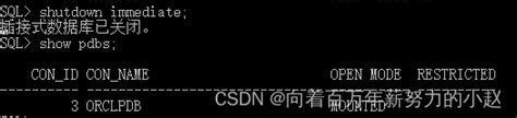 Oracle容器数据库的安装和使用 Csdn博客