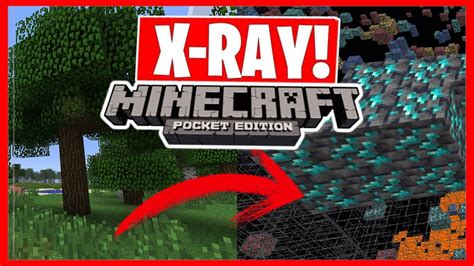 X Ray For Minecraft Bedrock Pc