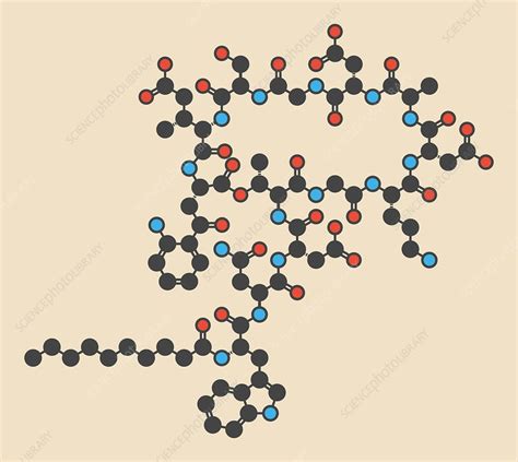 Daptomycin Antibiotic Drug Molecule Stock Image F013 0309 Science Photo Library