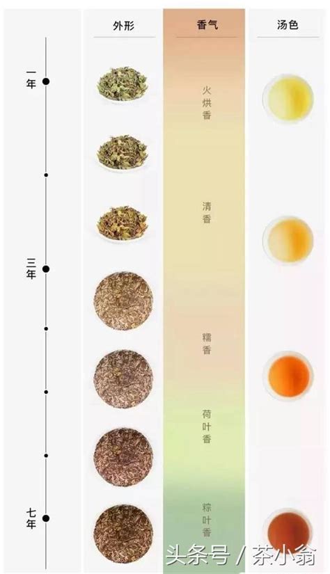 白茶應該喝老茶存新茶 每日頭條