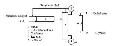 Schematic Of Reactive Distillation Column For Biodiesel Download
