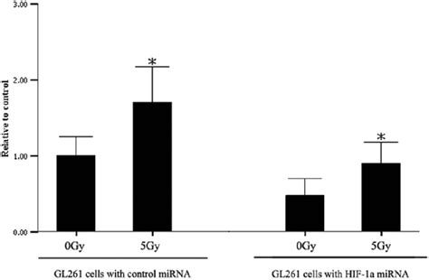 Real Time Quantitative Reverse Transcriptionpolymerase Chain Reaction