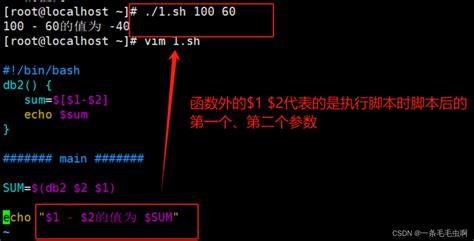 Shell函数 Csdn博客