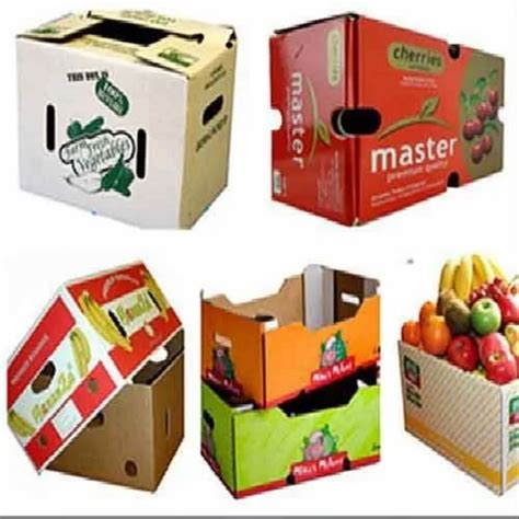 Single Wall 3 Ply Vegetable Fruits Packaging Box At Rs 38 Piece