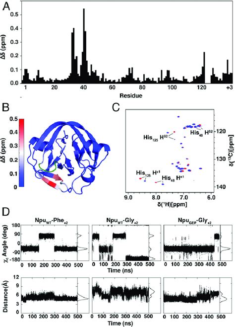 Structural And Dynamic Effects Of The Loop Mutation A Differences In