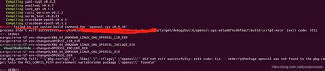 Ubuntu Cargo Build Error Failed To Run Custom Build Command For `openssl Sys V0939` Csdn博客