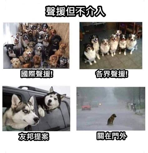 聲援但不介入 國際聲援 各界聲援 友邦提案 關在門外