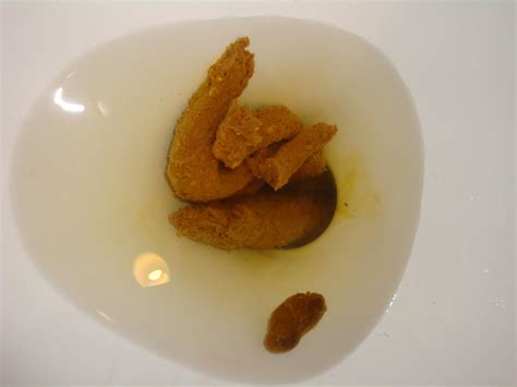 Who Did The Biggest Poo On The Most Recent TSR Ski Trip The Student Room