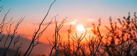 Alejandro Perez On Linkedin Lawyers Depression Project