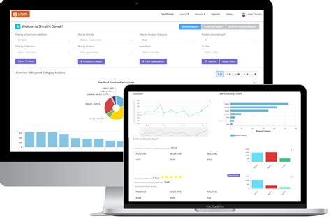 E Commerce Review Analytics Tool Chromosis
