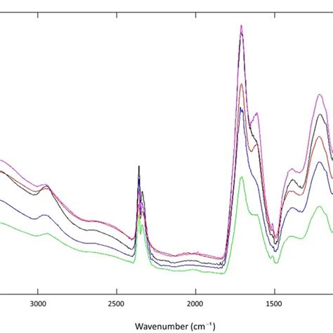 Fourier Transform Infrared Spectroscopy Attenuated Total Reflectance