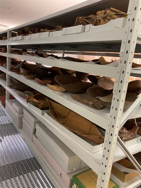 Apc Storage Technology Pty Ltd On Linkedin The South Australian Museum Is Responsible For The