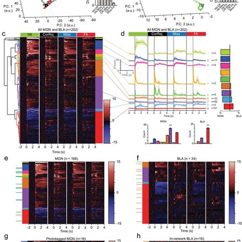 Hierarchical Clustering Across Trials Highlight Mgn Neurons That Download Scientific Diagram