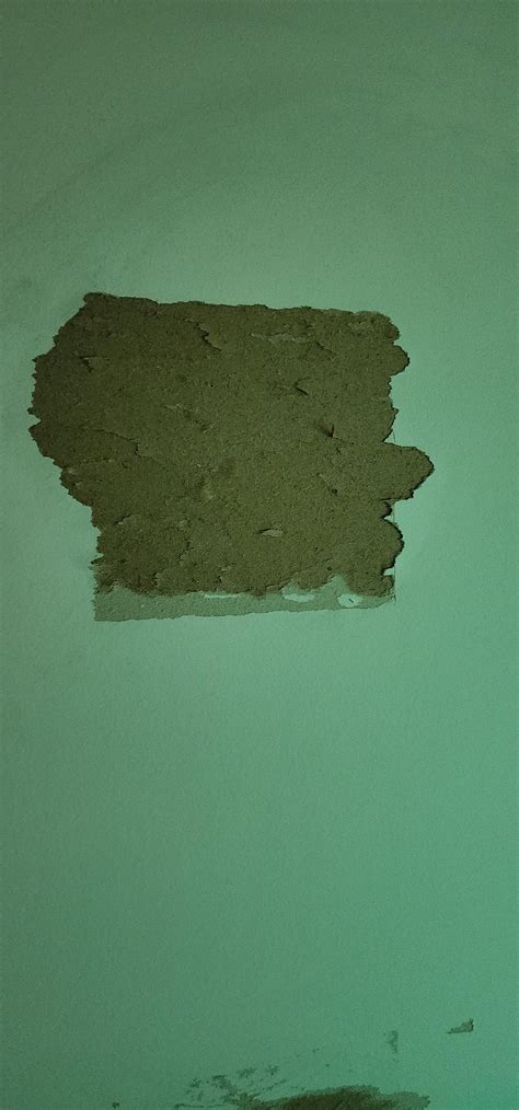 Protective Leaf Not Very Protective Rdisplate