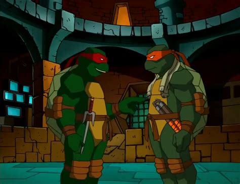 Tmnt 2003 Mikey And Raph 2 By Hedwieapotter On Deviantart