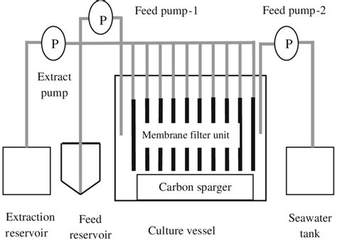 schemetic diagram of the ultra high density culture system with download scientific diagram