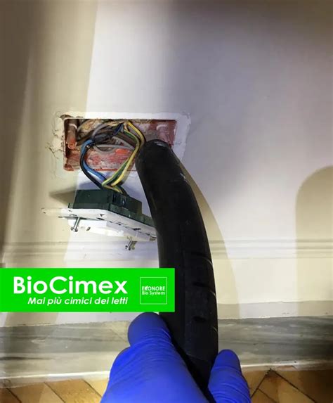 Disinfestazione Cimici Dei Letti 100 Bio EKONORE