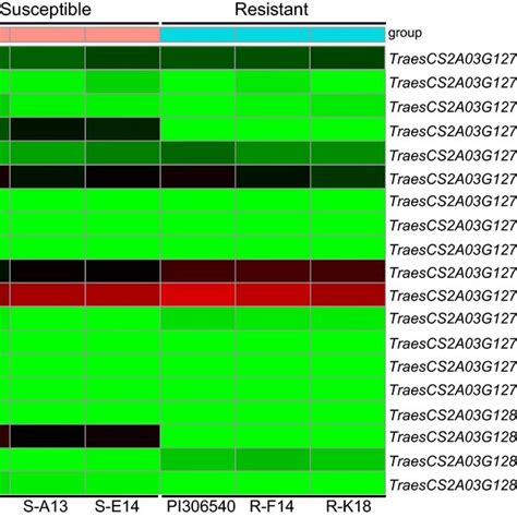 High Density Genetic Maps For Stem Rust Resistance Locus Srtm4 A Download Scientific Diagram