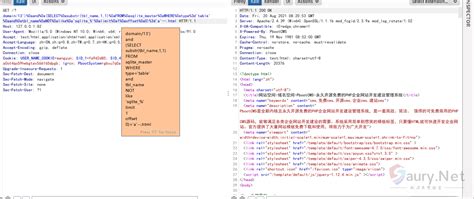 PbootCMS domain SQL注入漏洞 秋刀鱼实验室