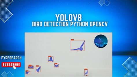How To Count Birds With Yolov8 Object Detection A Step By Step Guide