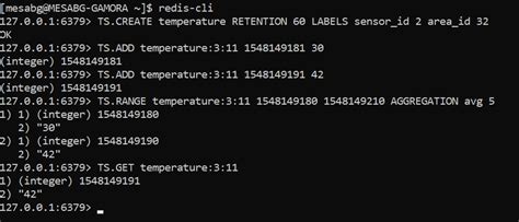 Adding Values With No Timestamp RedisTimeSeries Redis Community Forum